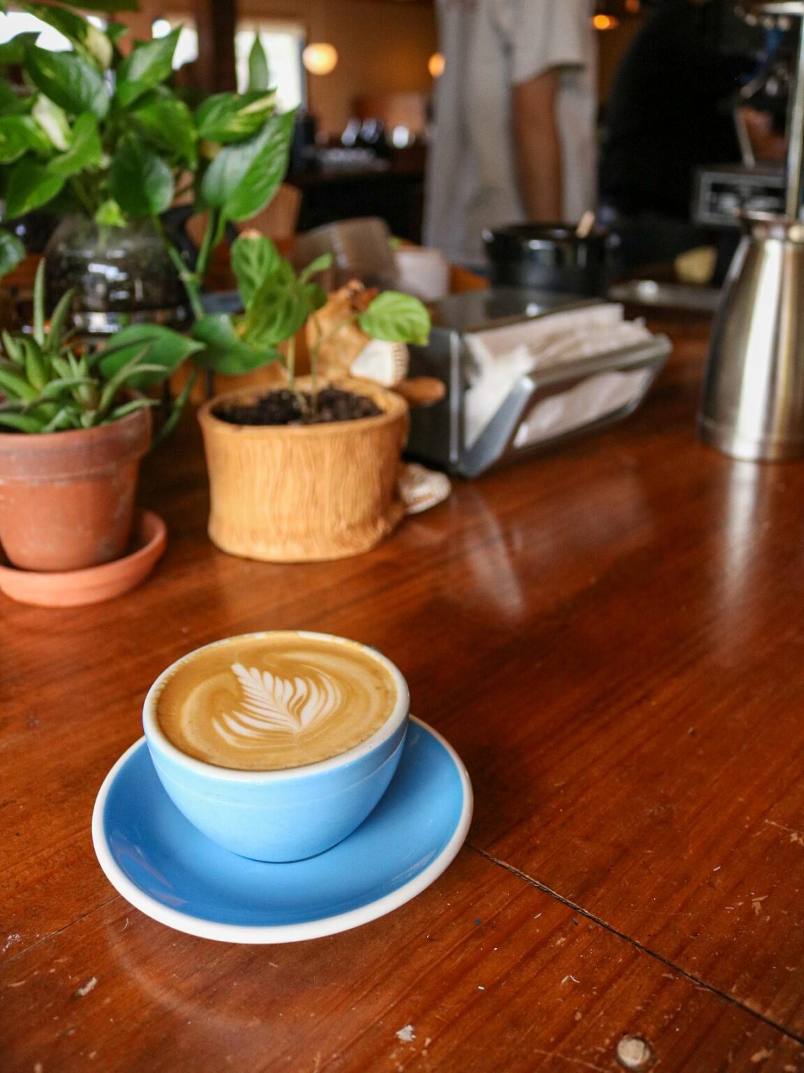 Pinewood Coffee Bar: The Best Coffee In Waco - The Waco Things