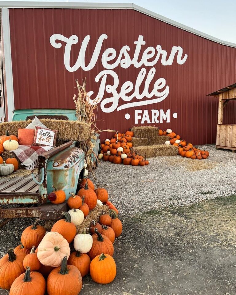 Best Pumpkin Patches in Waco - The Waco Things
